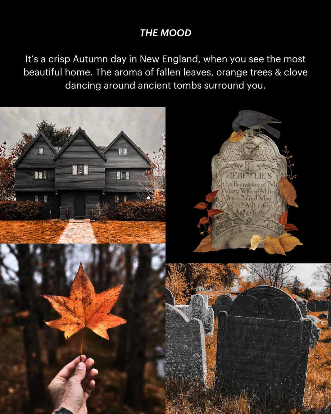 All Hallows' Eve Collection – Graveyard Wanders